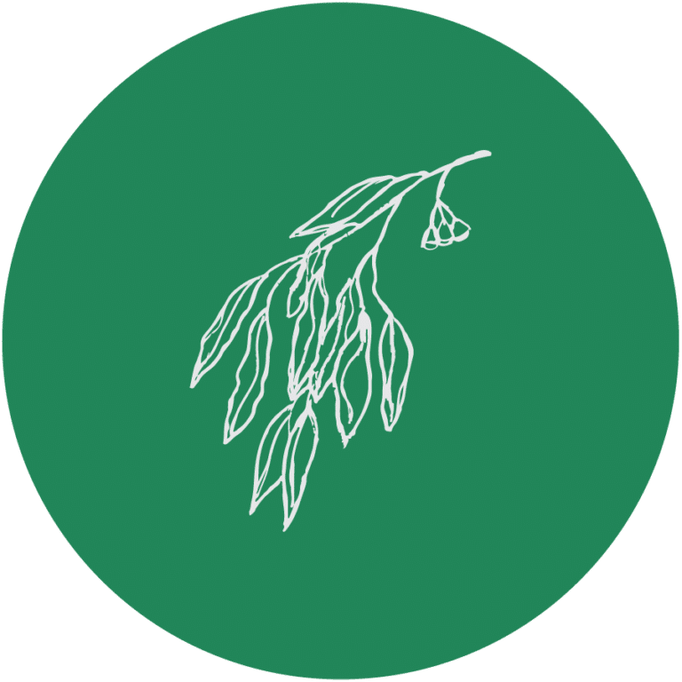 Ethos Miscanthus Bedding - completely natural equine bedding